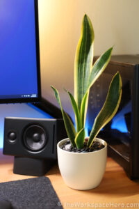 How To Hide The Back Of Your Computer Monitor