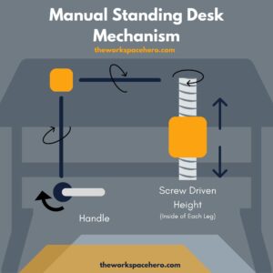 How Do Standing Desks Work? The Mechanisms Explained